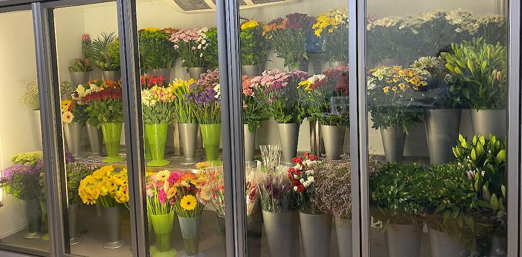 Flooers | Kirkwall BID